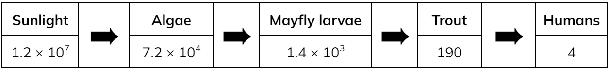 Trophic Levels in an Ecosystem | AQA GCSE Biology Topic Questions 2018