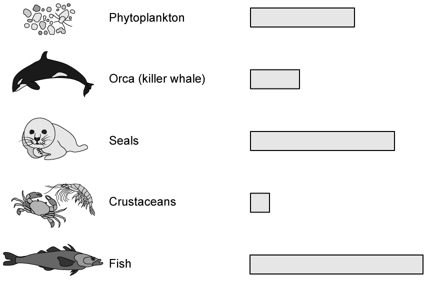 Trophic Levels in an Ecosystem | AQA GCSE Biology Topic Questions 2018