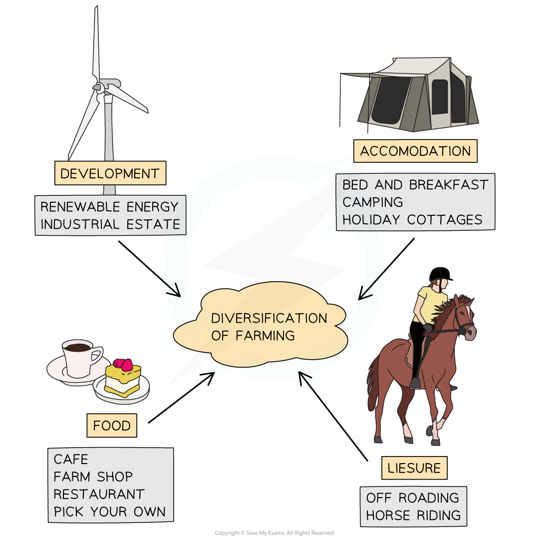 Diversification of Farming | Edexcel IGCSE Geography Revision Notes 2019
