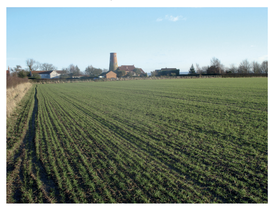 Food Production | CIE IGCSE Geography Topic Questions 2020