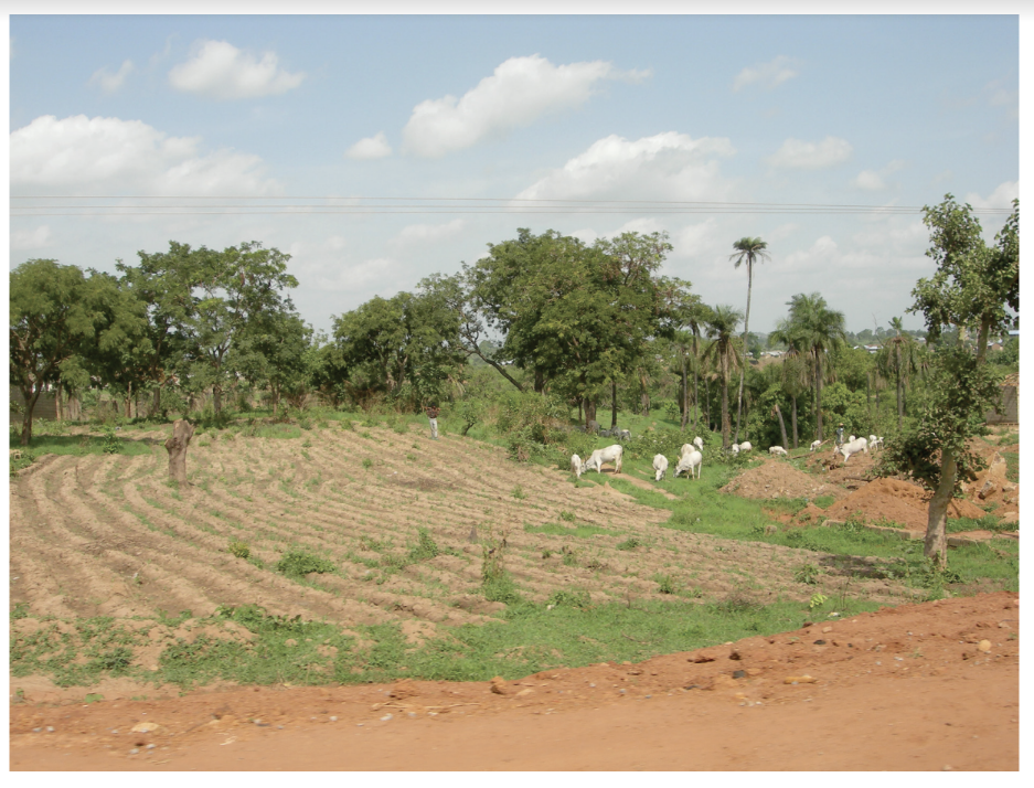 Food Production | CIE IGCSE Geography Topic Questions 2020