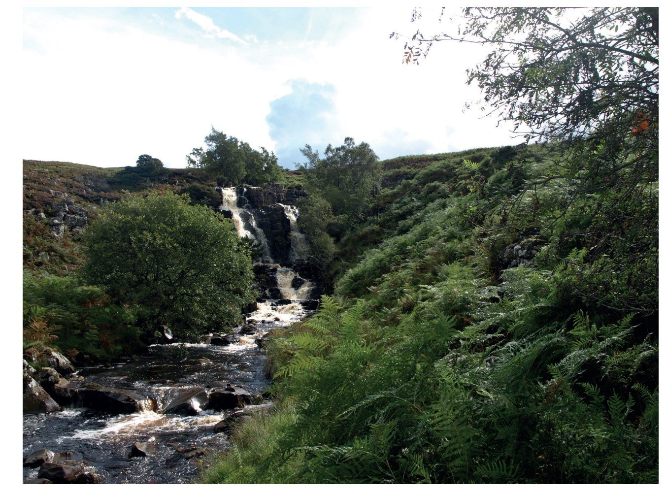 Rivers | CIE IGCSE Geography Topic Questions 2020