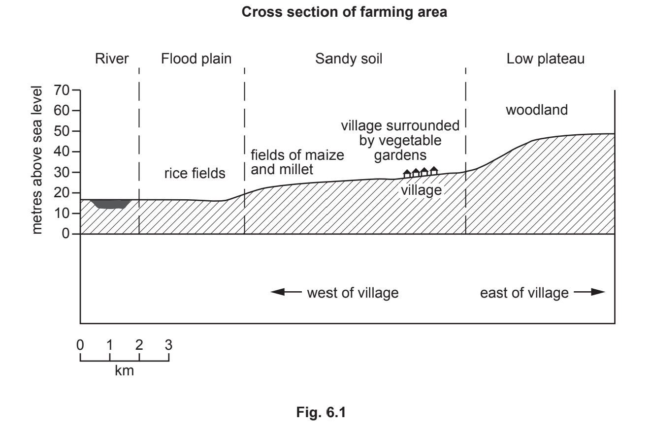 Food Production | CIE IGCSE Geography Topic Questions 2020
