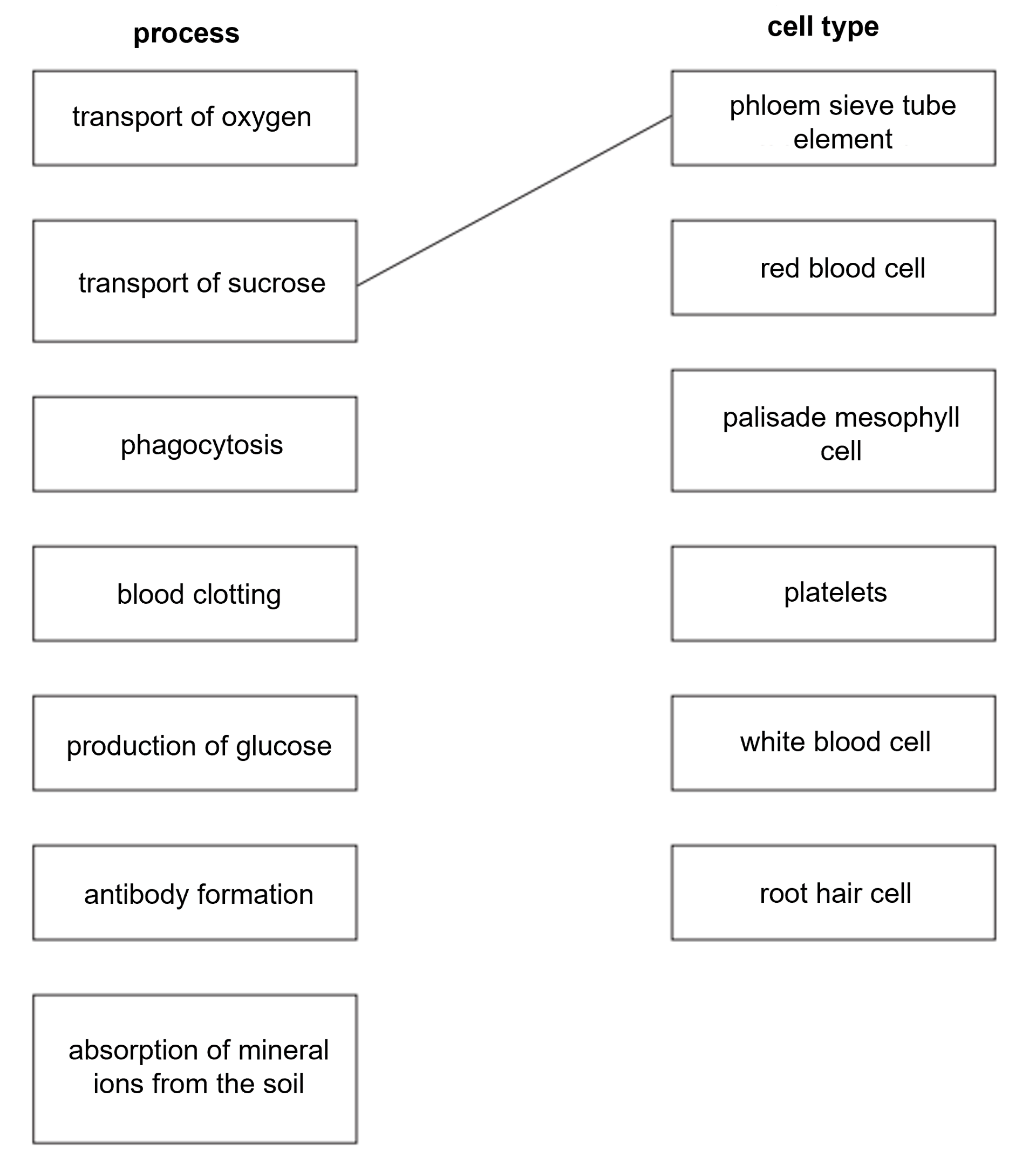 Cell Structure & Size of Specimens | CIE IGCSE Biology Topic Questions 2023