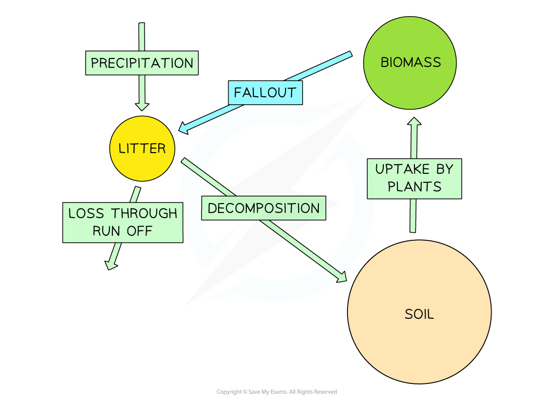 Hot Desert Ecosystem | AQA GCSE Geography Revision Notes 2018