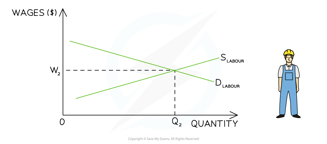 Wage Determination | CIE IGCSE Economics Revision Notes 2020