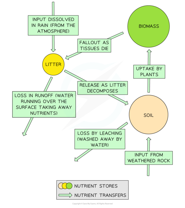 Ecosystems | AQA GCSE Geography Revision Notes 2018