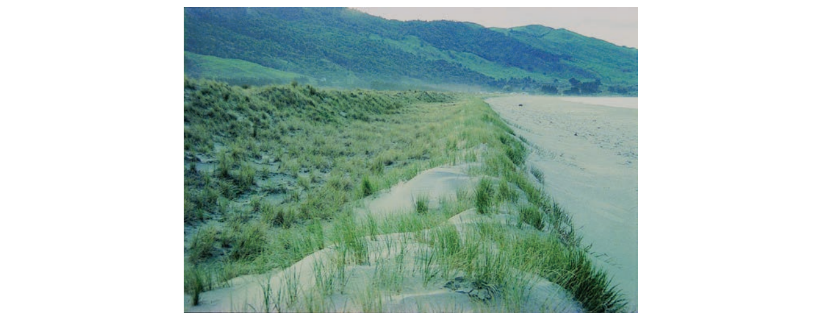 Coastal Landscape Development | AQA A Level Geography Topic Questions 2018