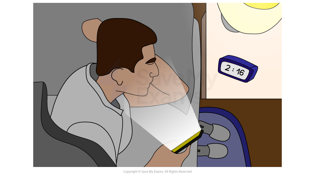 The Effect of Endogenous Pacemakers & Exogenous Zeitgebers | AQA A ...