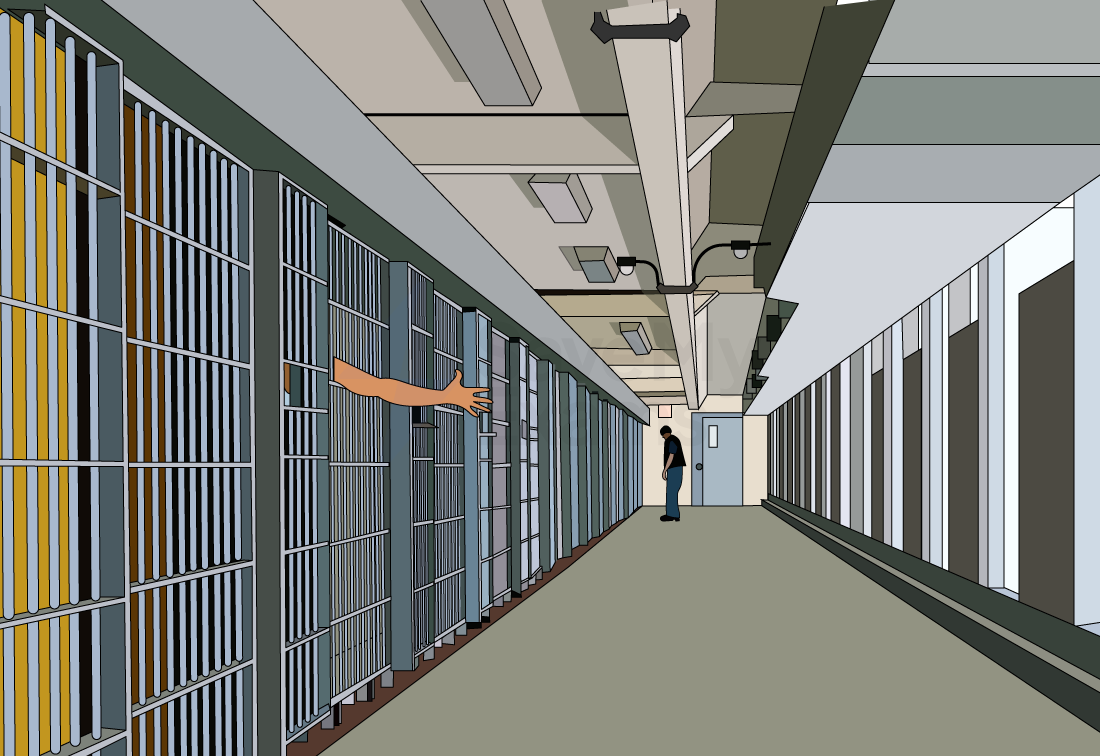 The Relative Importance of Heredity and Environment | AQA A Level ...