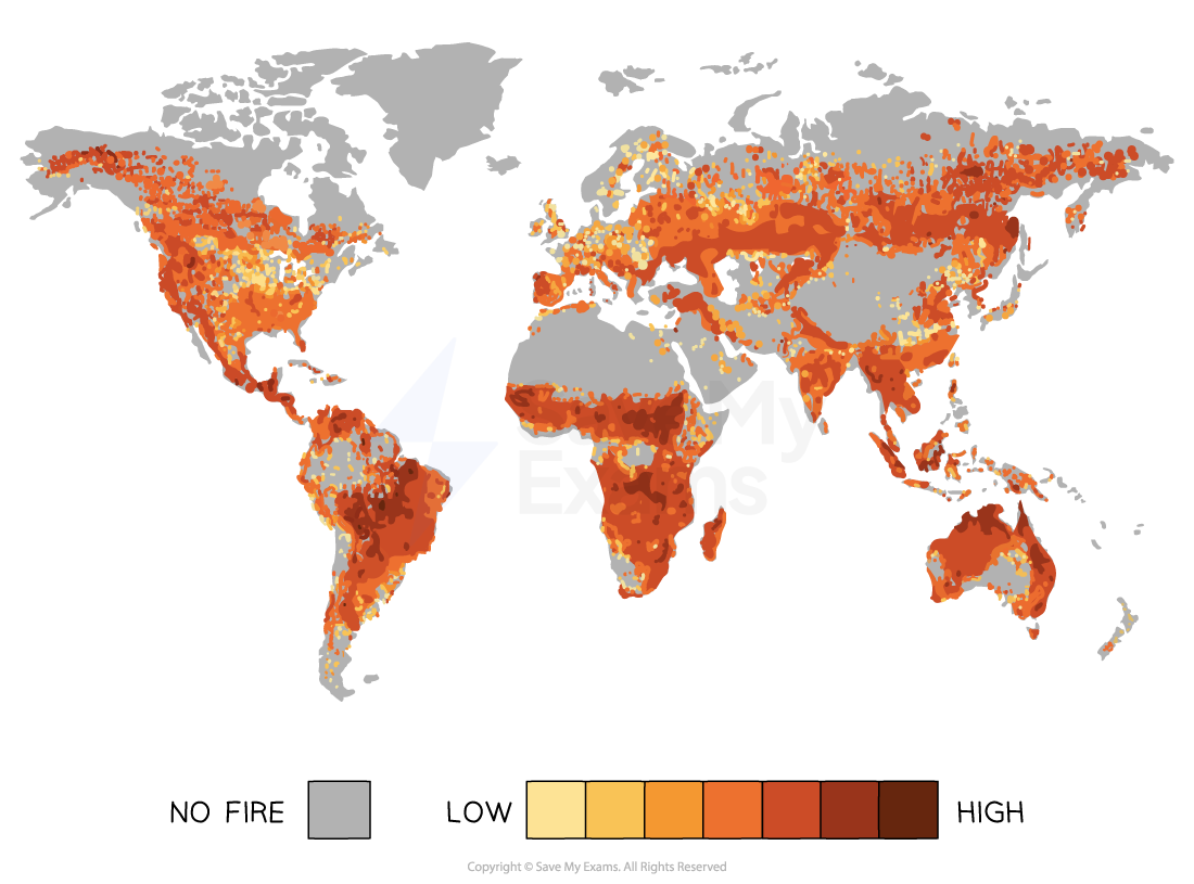 Nature and Causes of Wildfires | AQA A Level Geography Revision Notes 2018