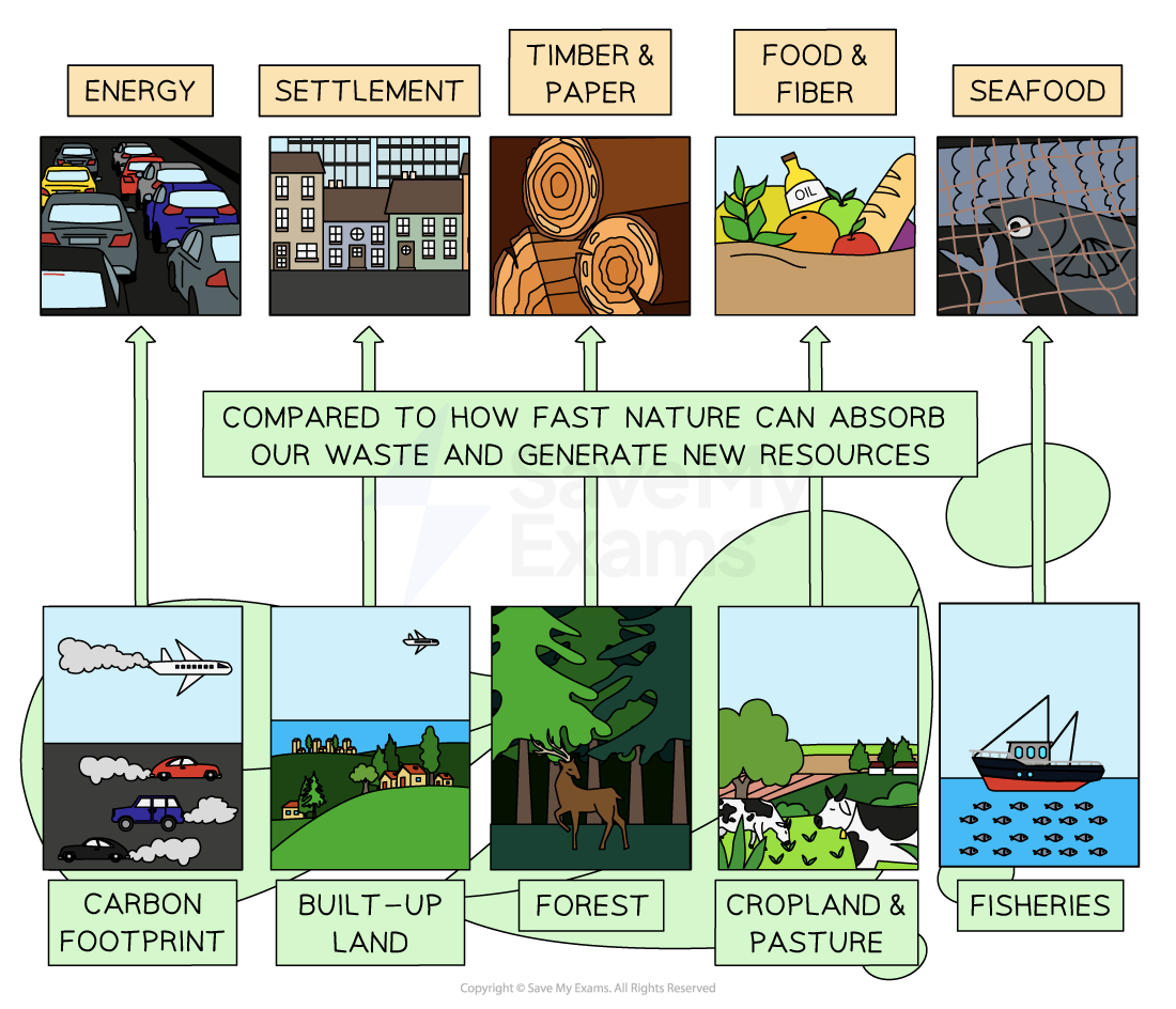 Environmental Impact | AQA A Level Geography Revision Notes 2018