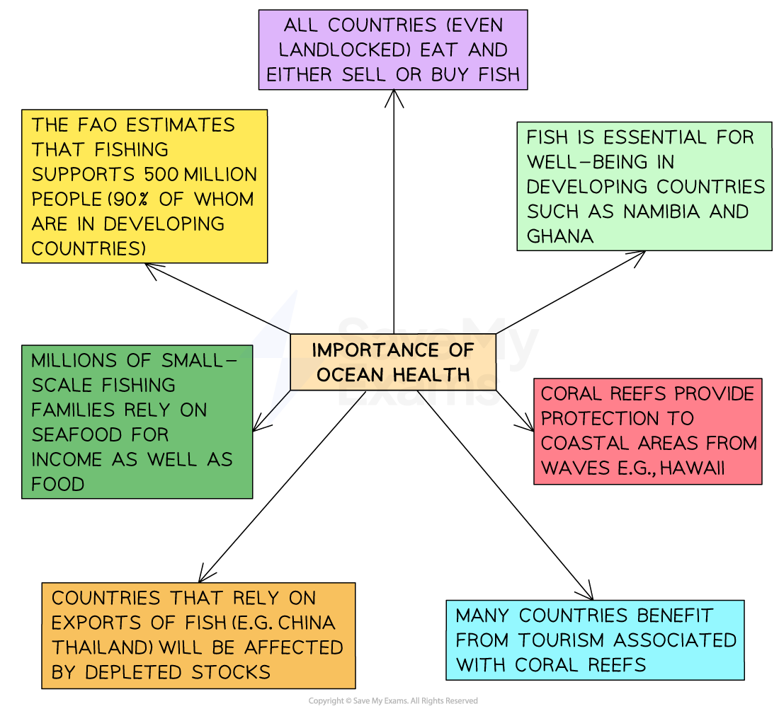 Implications of Degradation of Water & Carbon Cycles | Edexcel A Level ...