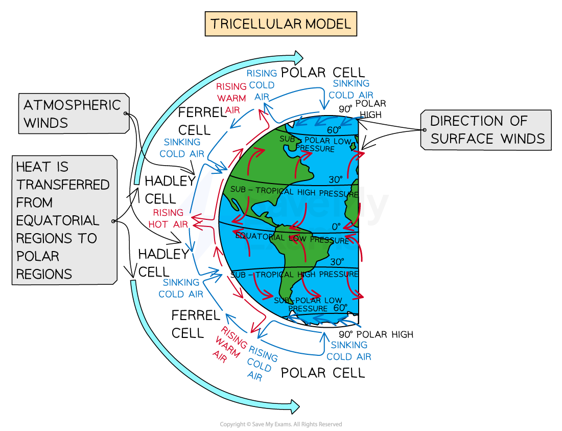 Tricellular Model of Atmospheric Circulation | SL IB Environmental ...