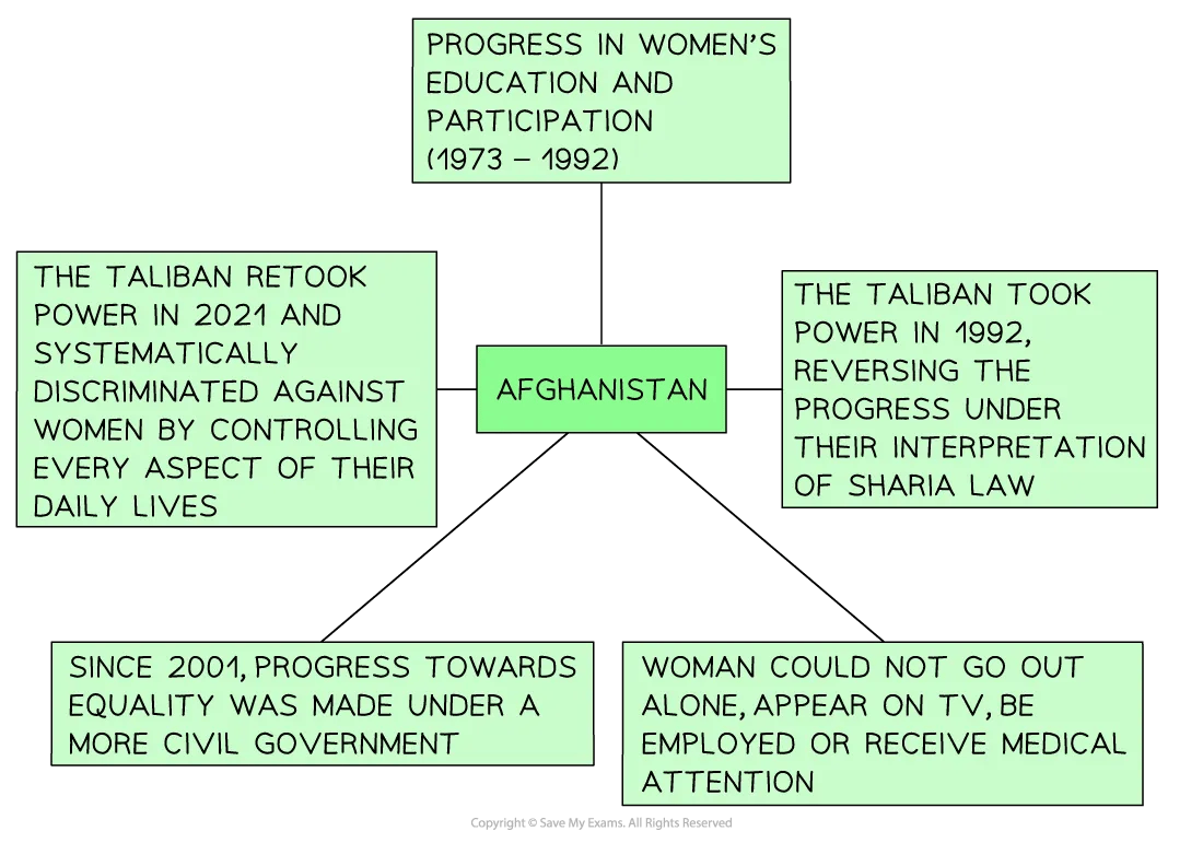 Human Rights & Social Development | Edexcel A Level Geography Revision ...