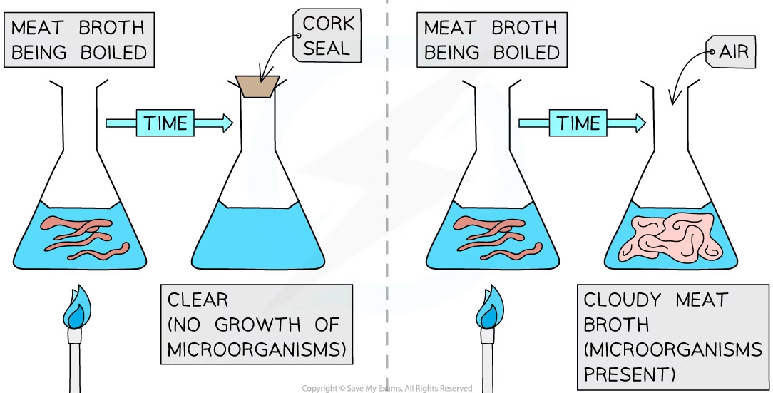 How Life Started on Earth - Theories | College Board AP Biology ...