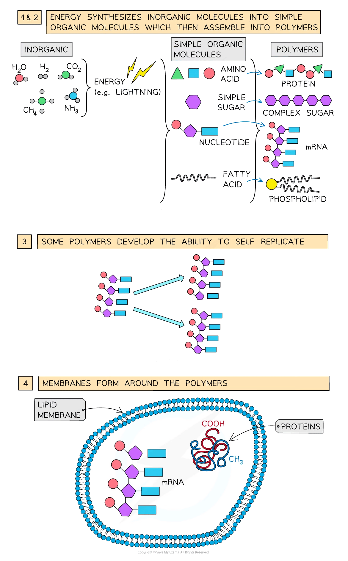 How Life Started on Earth - Theories | College Board AP Biology ...