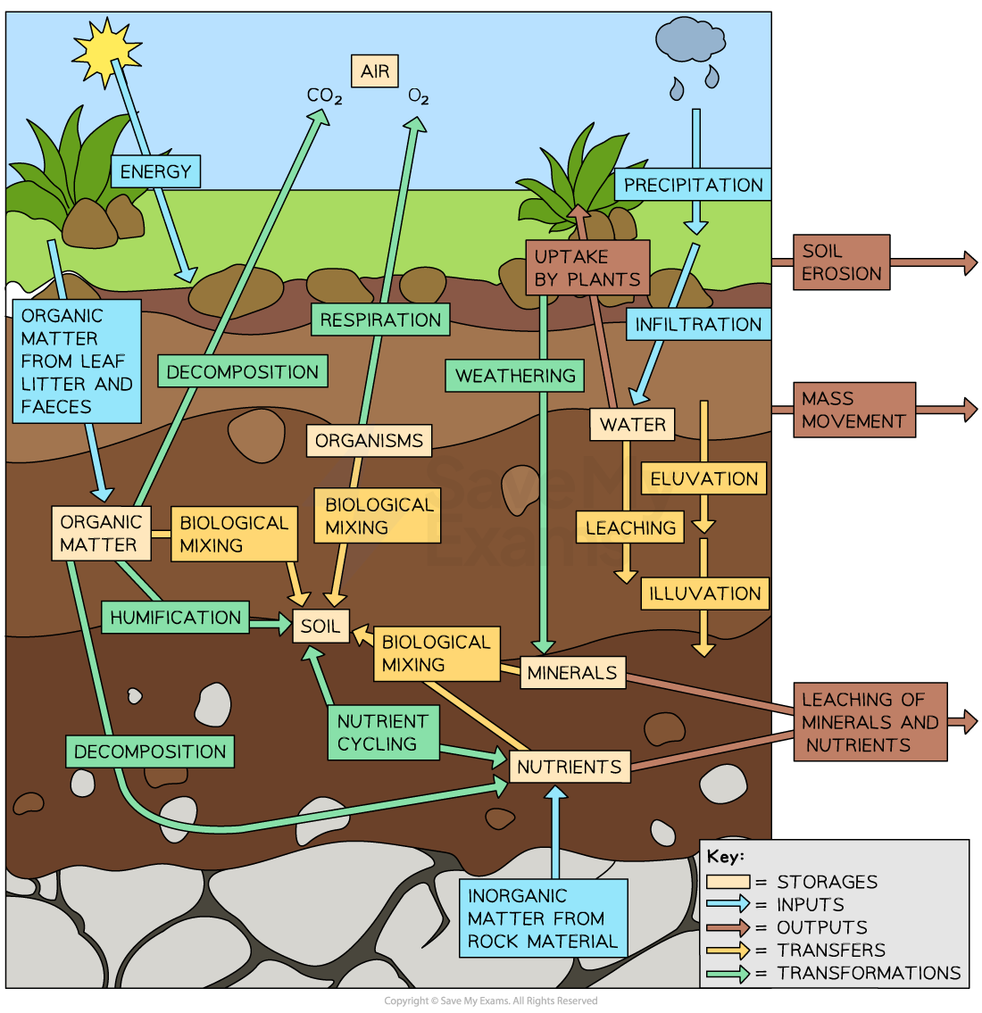 Soil Systems | SL IB Environmental Systems & Societies (ESS) Revision ...