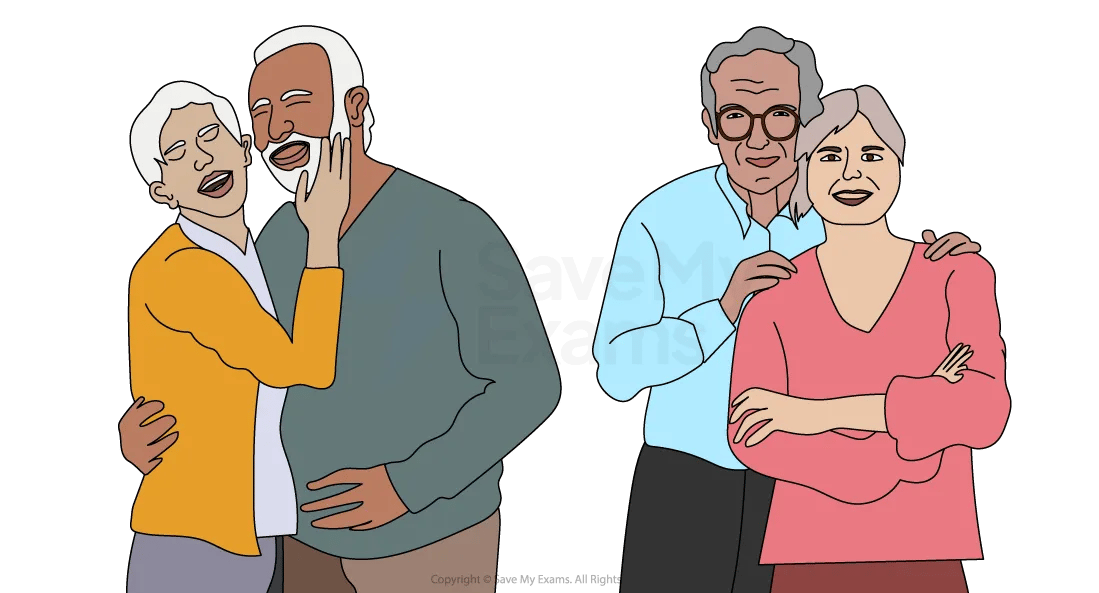 Filter Theory | AQA A Level Psychology Revision Notes 2017