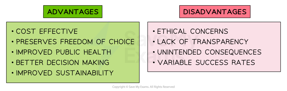 Using Behavioural Economics | AQA A Level Economics Revision Notes 2017