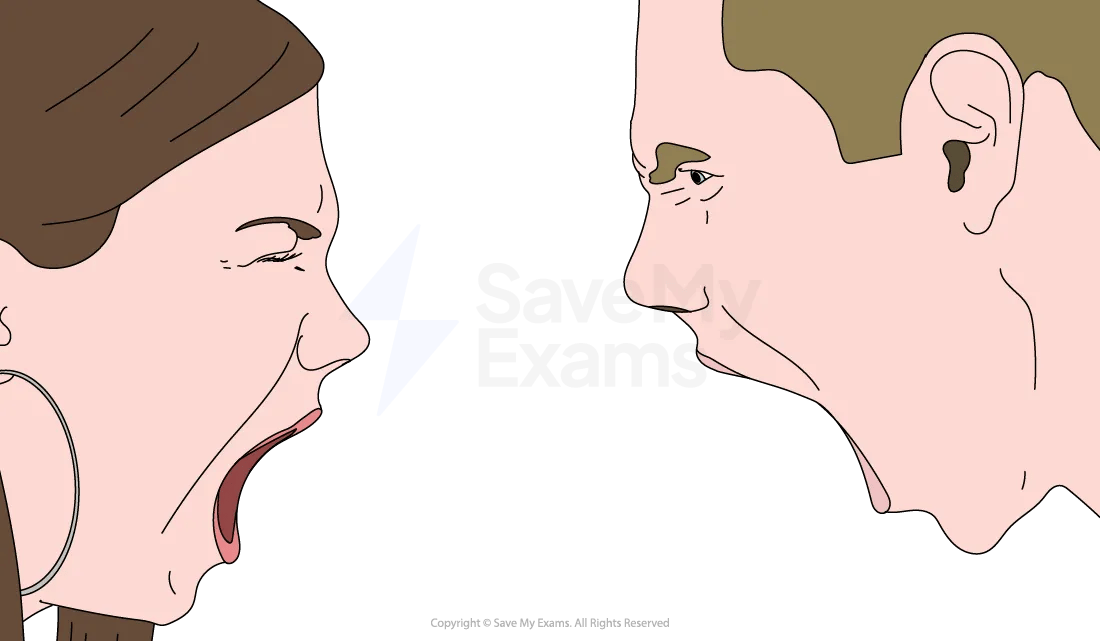 Neural & Hormonal Mechanisms in Aggression | AQA A Level Psychology ...