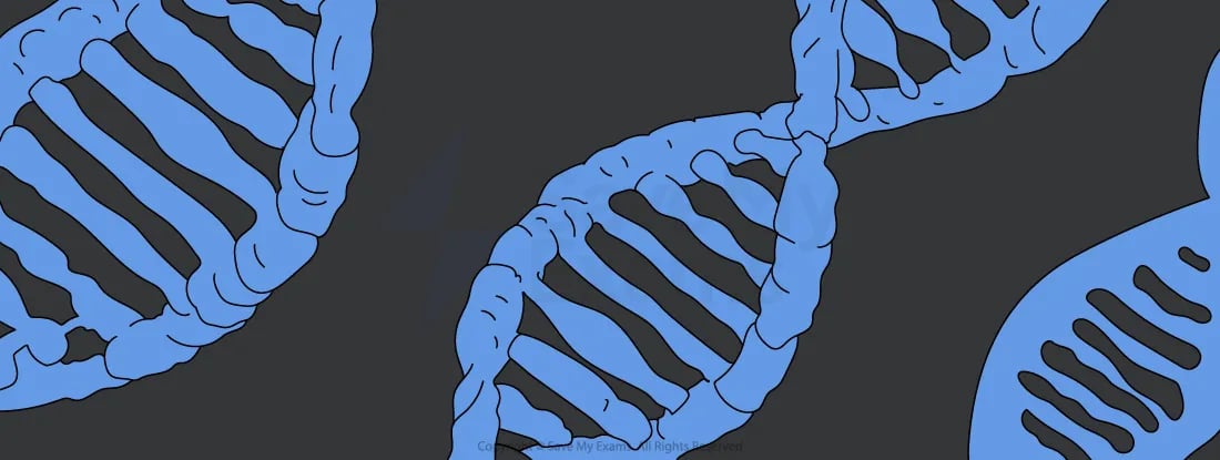 Gender Identity Disorder | AQA A Level Psychology Revision Notes 2017