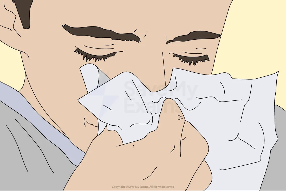 The Role of Stress in Illness | AQA A Level Psychology Revision Notes 2017