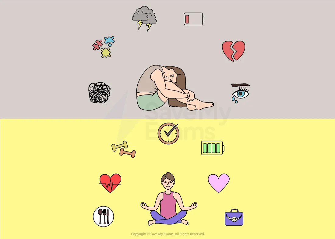 The Role of Stress in Illness | AQA A Level Psychology Revision Notes 2017