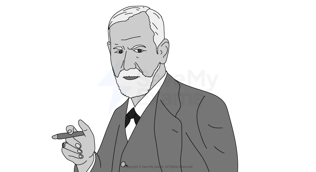 The Psychodynamic Explanation of Gender | AQA A Level Psychology ...