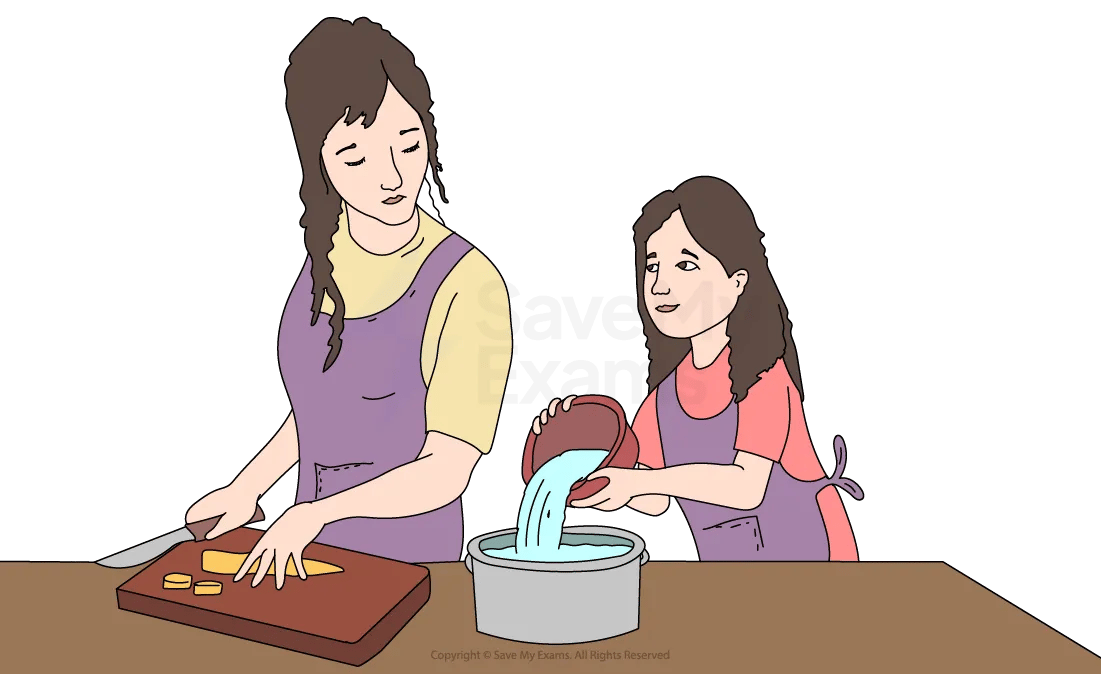 The Psychodynamic Explanation of Gender | AQA A Level Psychology ...