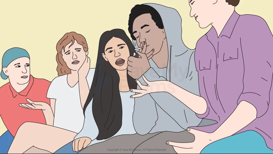 What is Addiction? | AQA A Level Psychology Revision Notes 2017