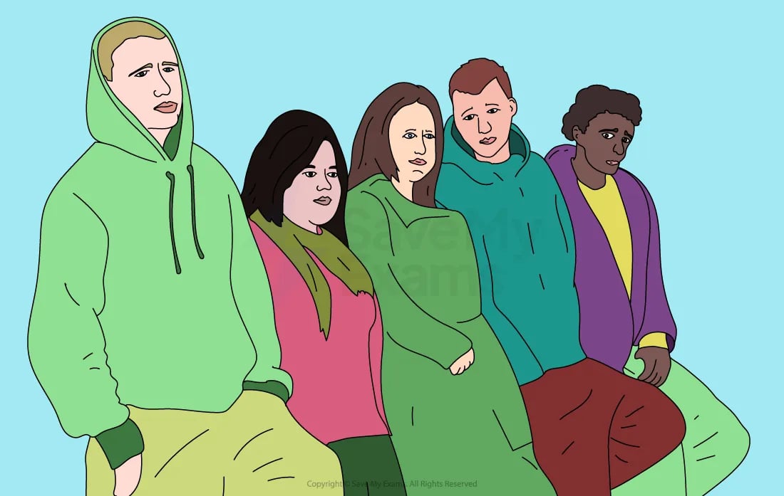 Differential Association Theory | AQA A Level Psychology Revision Notes ...