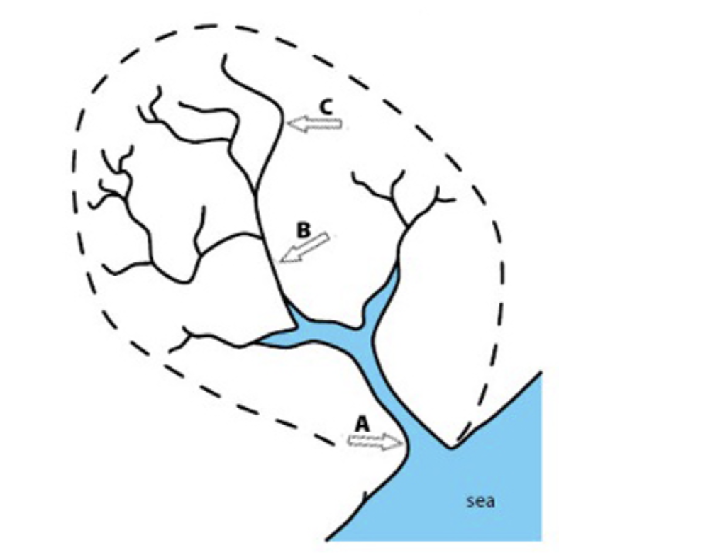 Rivers | CIE IGCSE Geography Topic Questions 2020