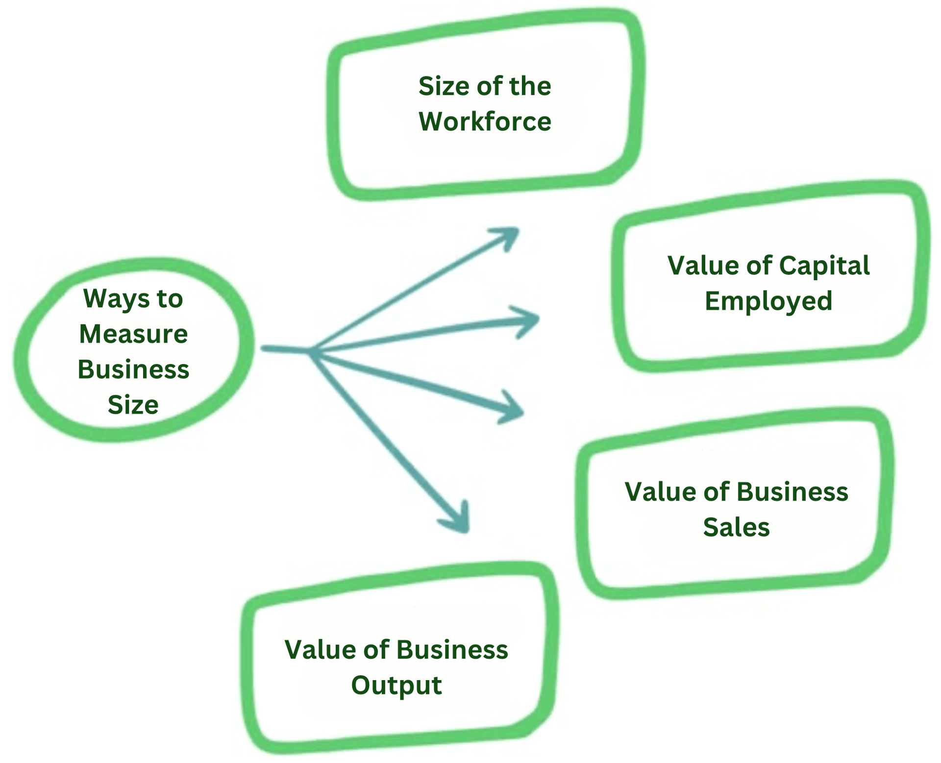 Measuring Business Size | CIE IGCSE Business Revision Notes 2023 | Save ...