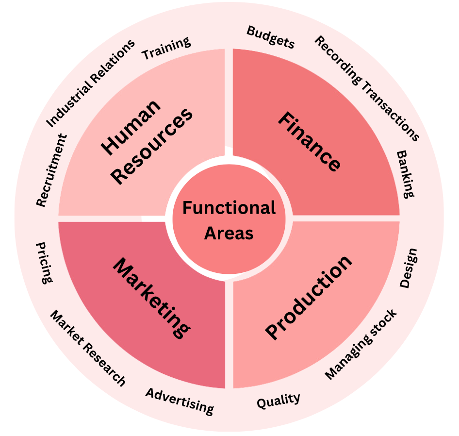 The Functional Areas of Business | Edexcel IGCSE Business Revision ...