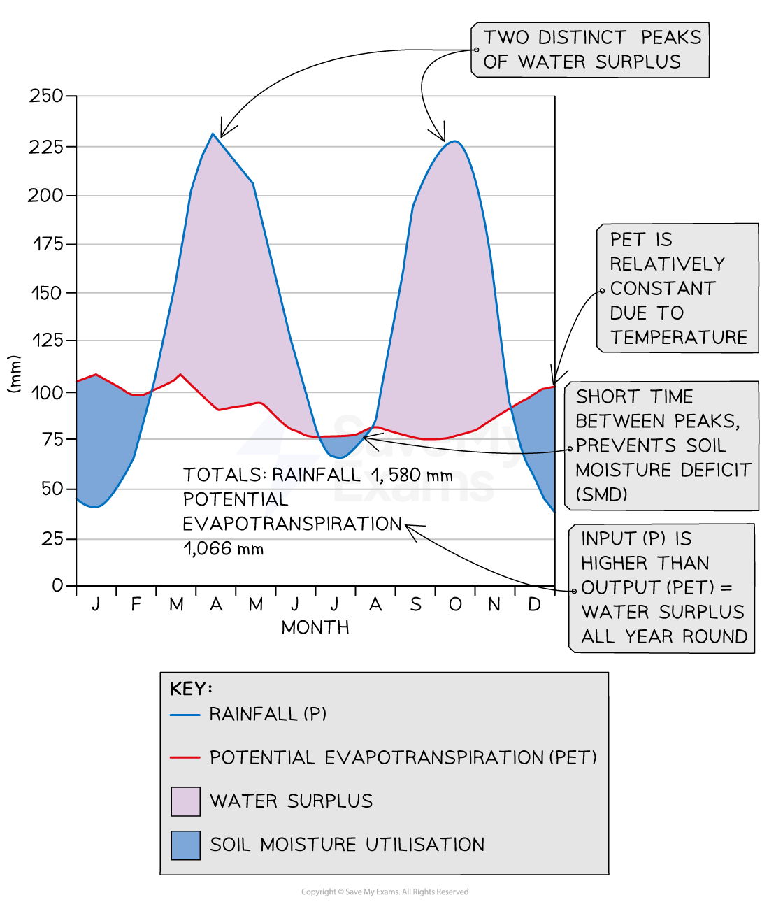 Tropical Rainforest Biome | AQA A Level Geography Revision Notes 2018