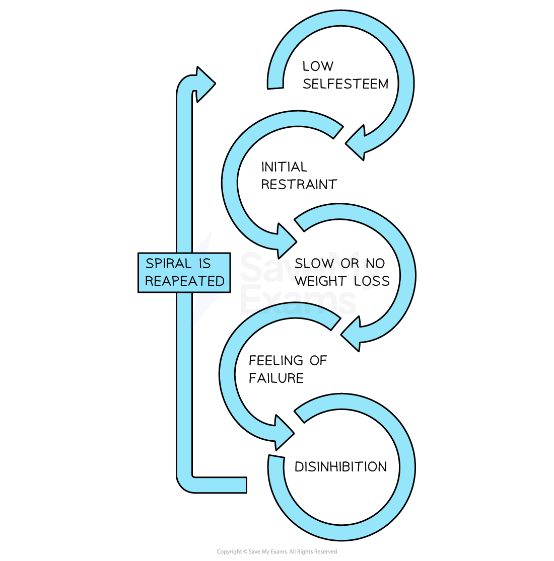 Explanations for the Success & Failure of Dieting | AQA A Level ...