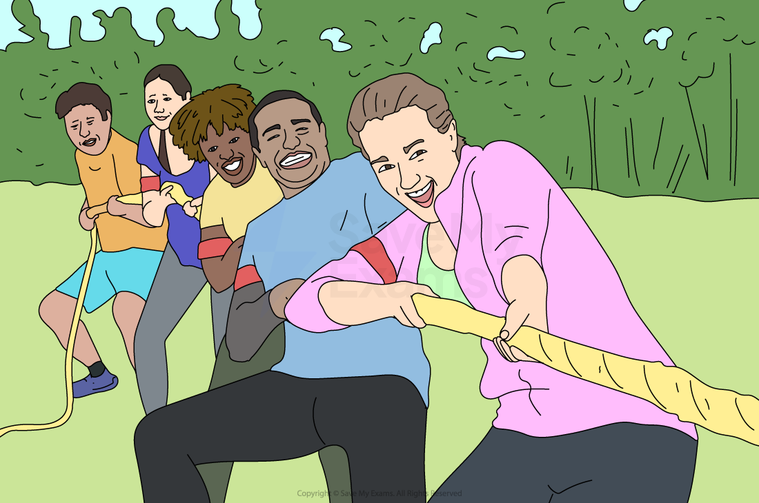 Social Factors of Crowd & Collective Behaviour | AQA GCSE Psychology ...