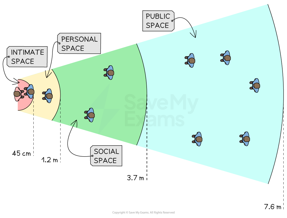Personal Space | AQA GCSE Psychology Revision Notes 2019