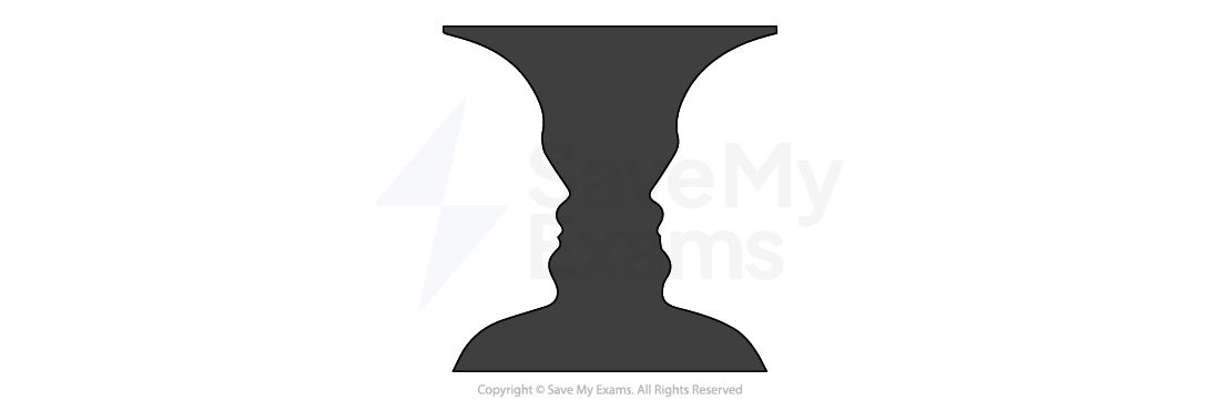 Examples of Visual Illusions | AQA GCSE Psychology Revision Notes 2019
