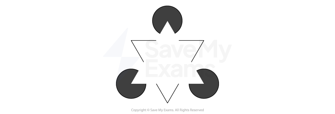 Examples of Visual Illusions | AQA GCSE Psychology Revision Notes 2019
