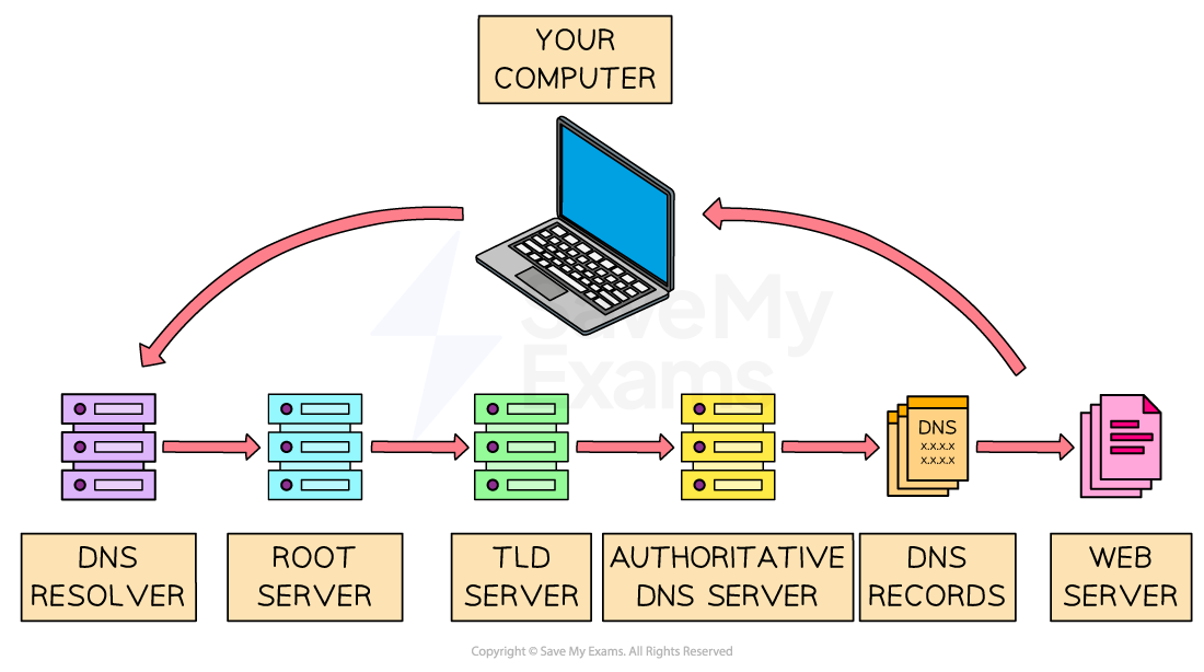 The Internet | OCR GCSE Computer Science Revision Notes 2022 | Save My ...
