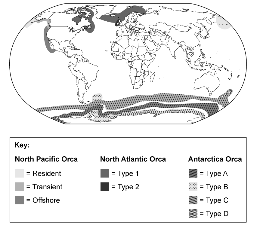 Classification | CIE A Level Biology Exam Questions & Answers 2025