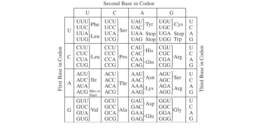 Mutations | College Board AP Biology Topic Questions 2020
