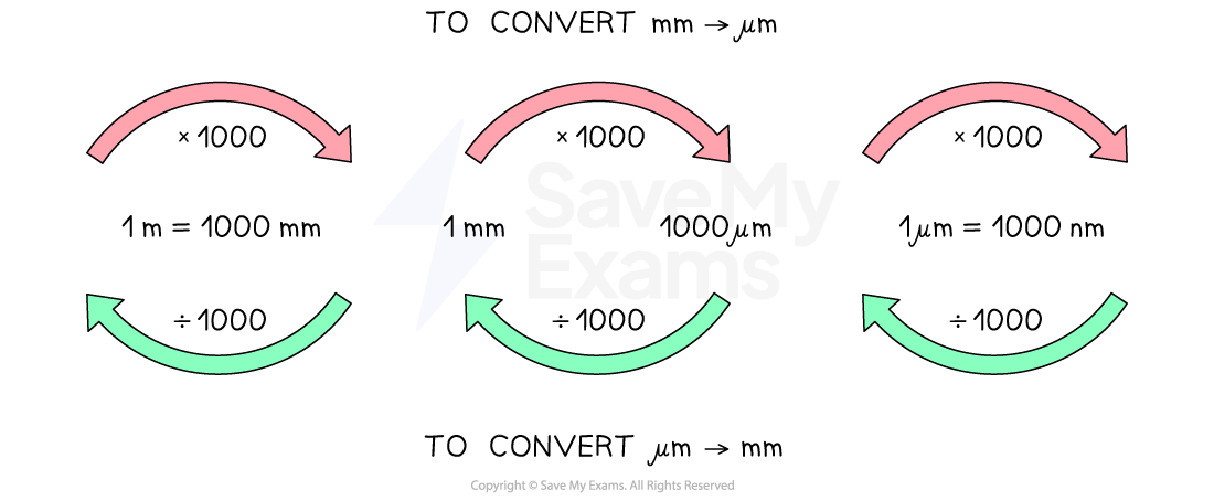 Eukaryotes & Prokaryotes | AQA GCSE Biology Revision Notes 2018