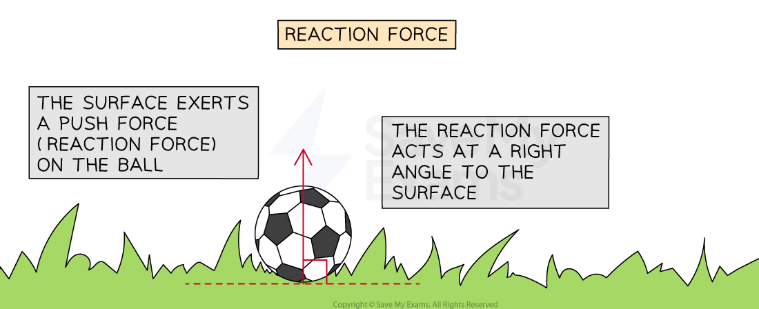 Types of Forces | Edexcel IGCSE Physics Revision Notes 2019