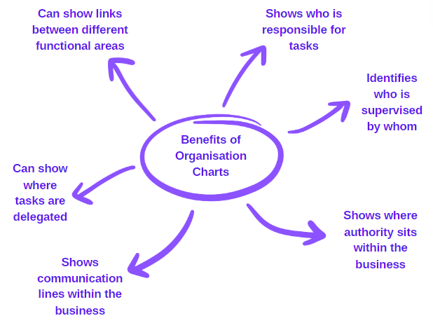 Organisation Charts | OCR GCSE Business Revision Notes 2017 | Save My Exams