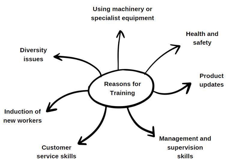 The Importance of Training & Development | OCR GCSE Business Revision ...