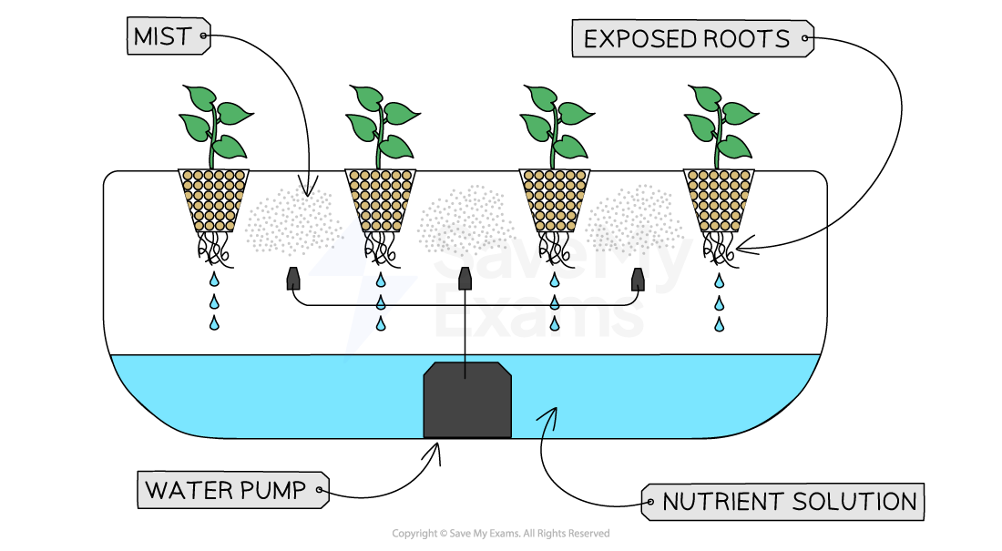 Types of farming | Cambridge (CIE) IGCSE Geography Revision Notes 2025