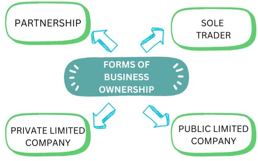 The Main Types of Ownership | CIE IGCSE Business Revision Notes 2023 ...
